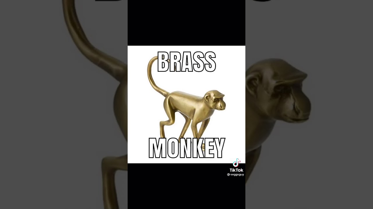 BRASS MONKEY DAT FUNKE MONKEY 🐒 - YouTube