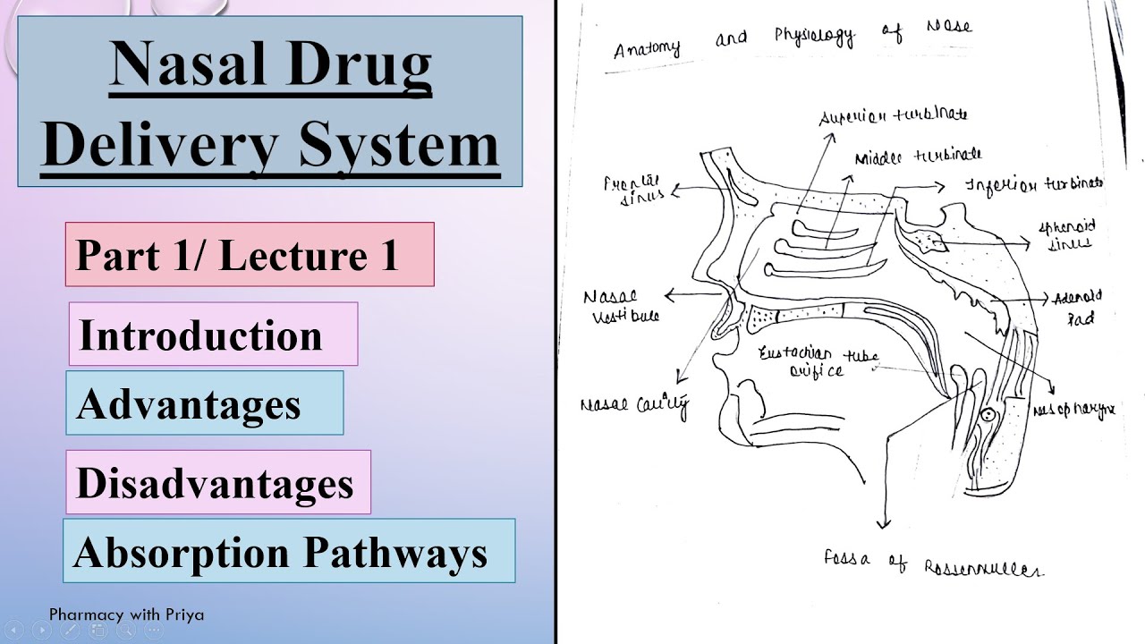 Nasal Drug Delivery System NDDS || Part 1 - YouTube