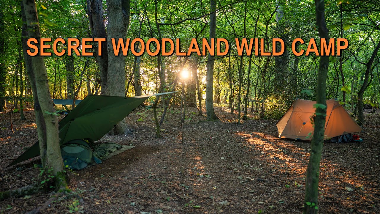Secret Woodland Wild Camp - YouTube