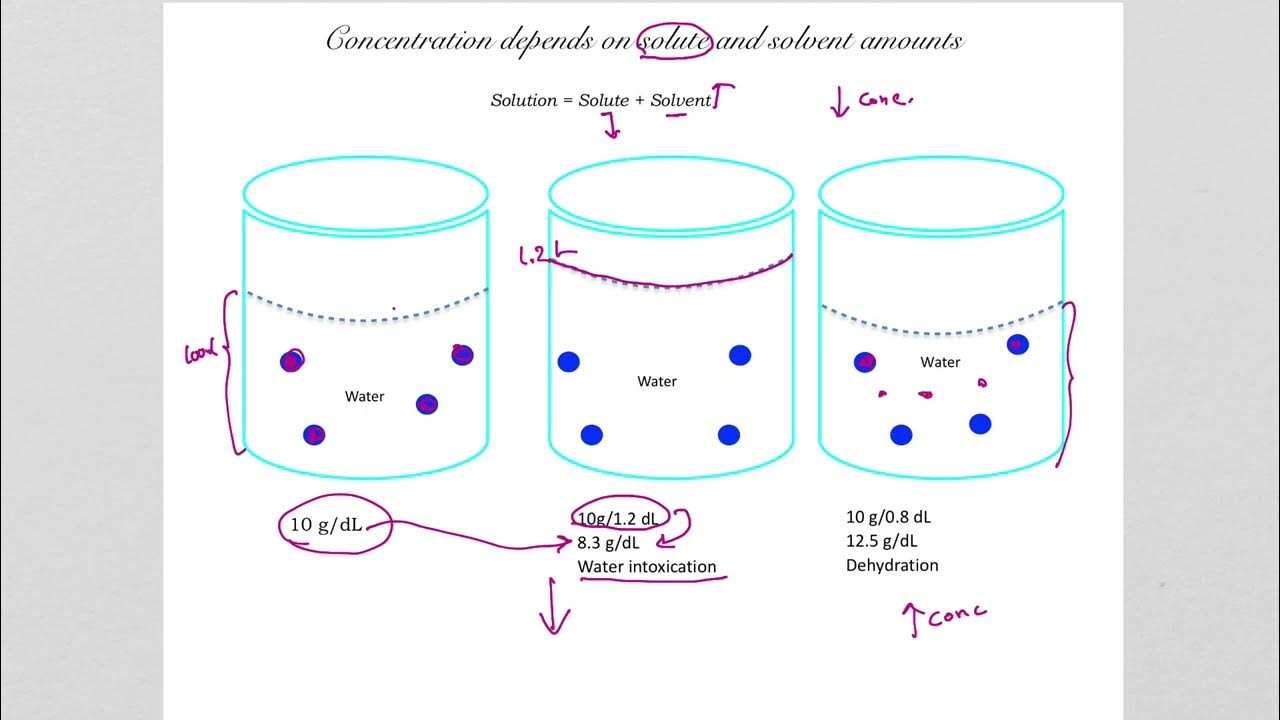 2.02 Overview of concentration and osmolality - YouTube