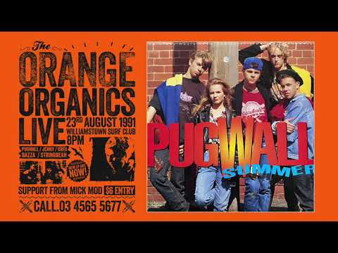 Pugwall Summer (1991, Vinyl) - Discogs