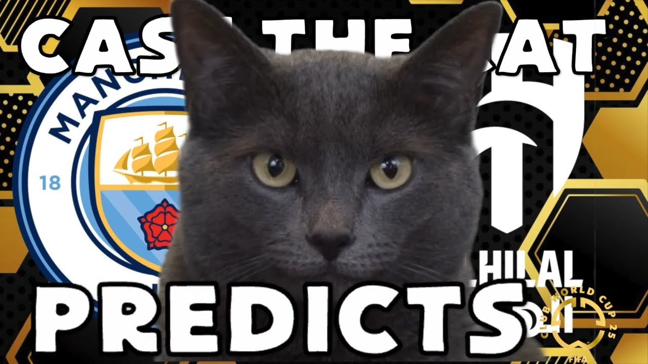 2025 FIFA CLUB WORLD CUP | MANCHESTER CITY 🆚 AL-HILAL - CASS THE CAT ...