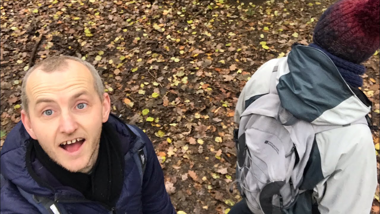 amazing walk in Welsh woods - wrexham - YouTube