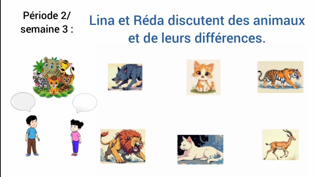 Période 2/ semaine 3 : Lina et Réda discutent des animaux et de leurs ...