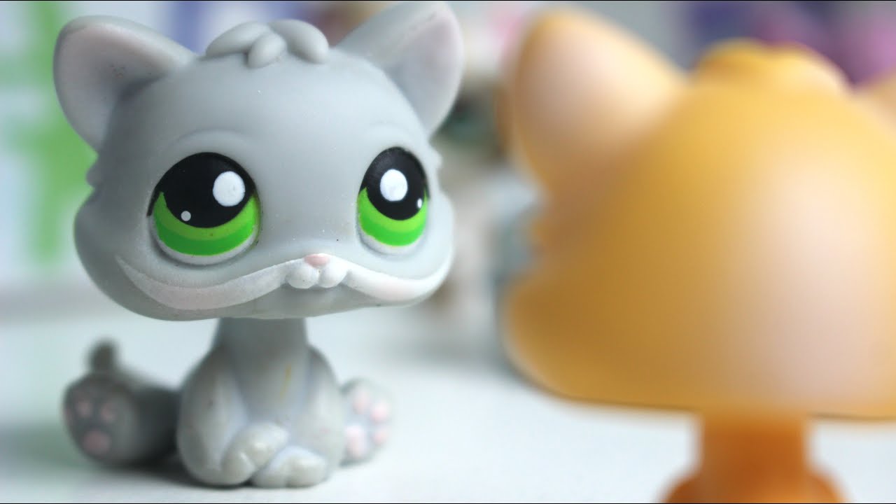 LPS: Pre-K (Part 4) - YouTube