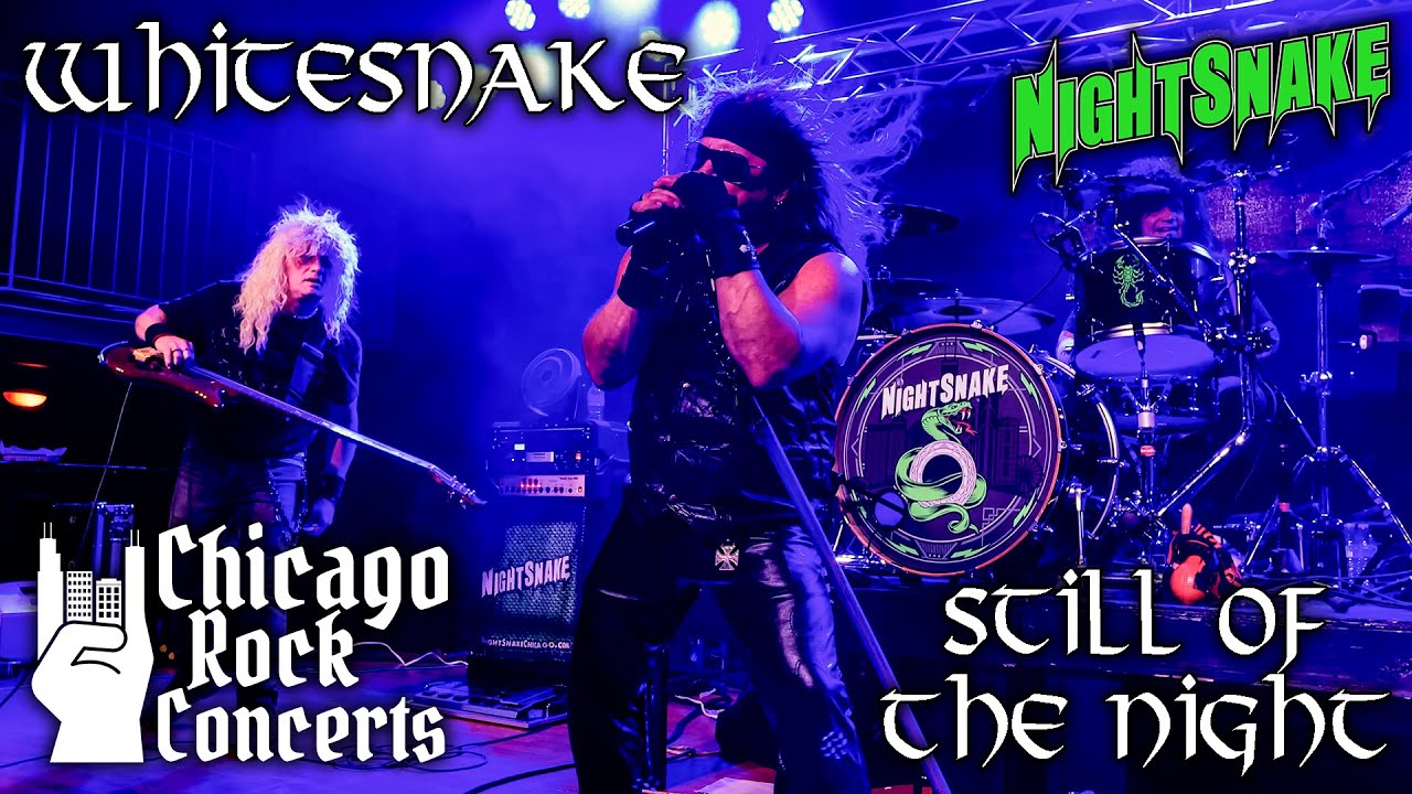 WhiteSnake Still Of The Night Live Cover Nightsnake Tribute Band at ...