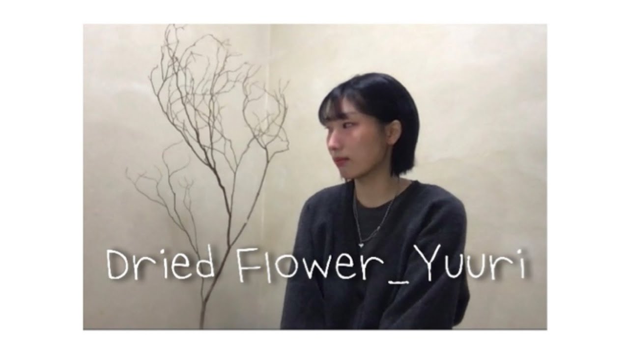 Dried Flower_Yuuri (cover) - YouTube