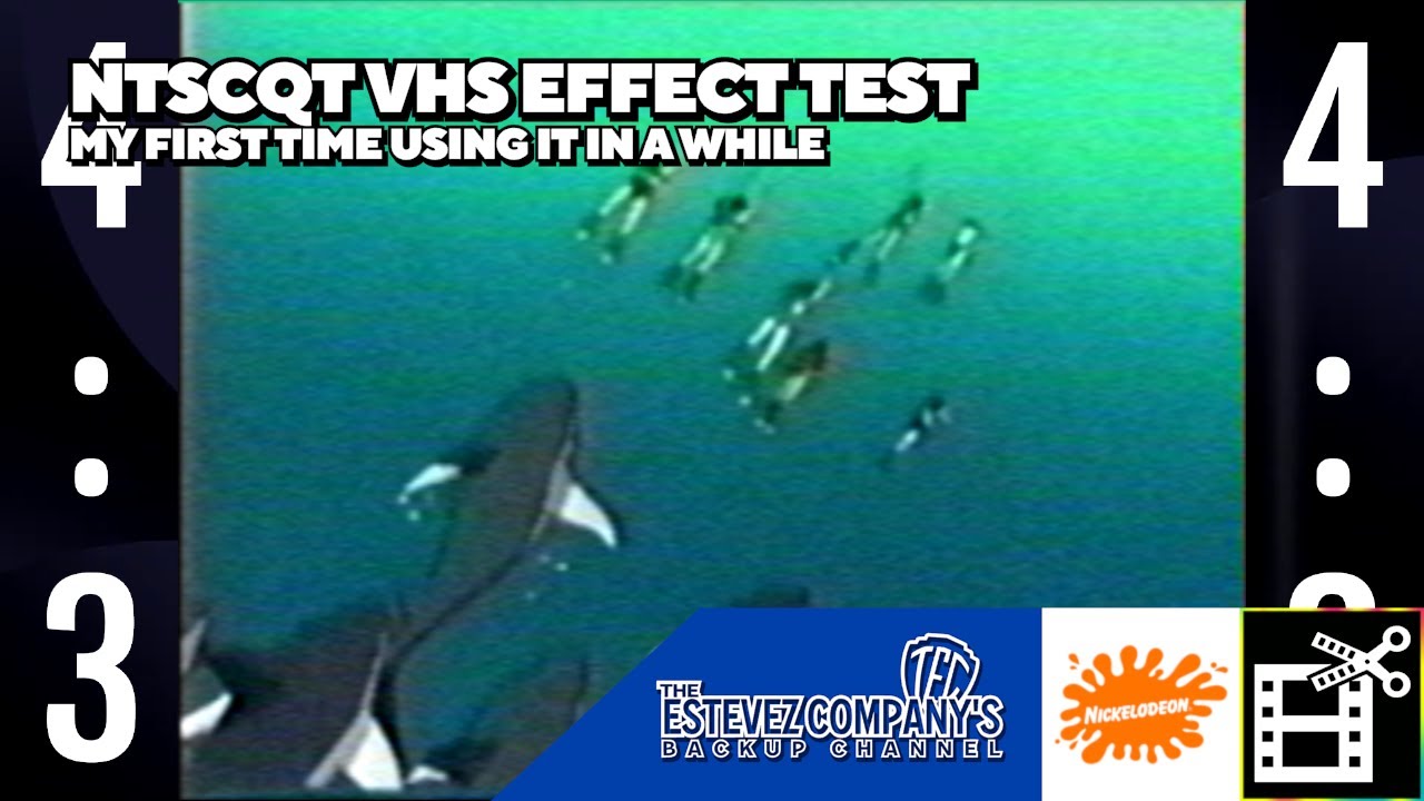 [MOCK] ntscQT VHS effect test (January 9, 2000) - YouTube