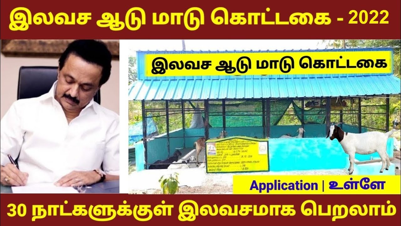 அரசின் இலவச ஆட்டு கொட்டகை 2021 | பெறுவது எப்படி | Free Goat Shed |Cow ...