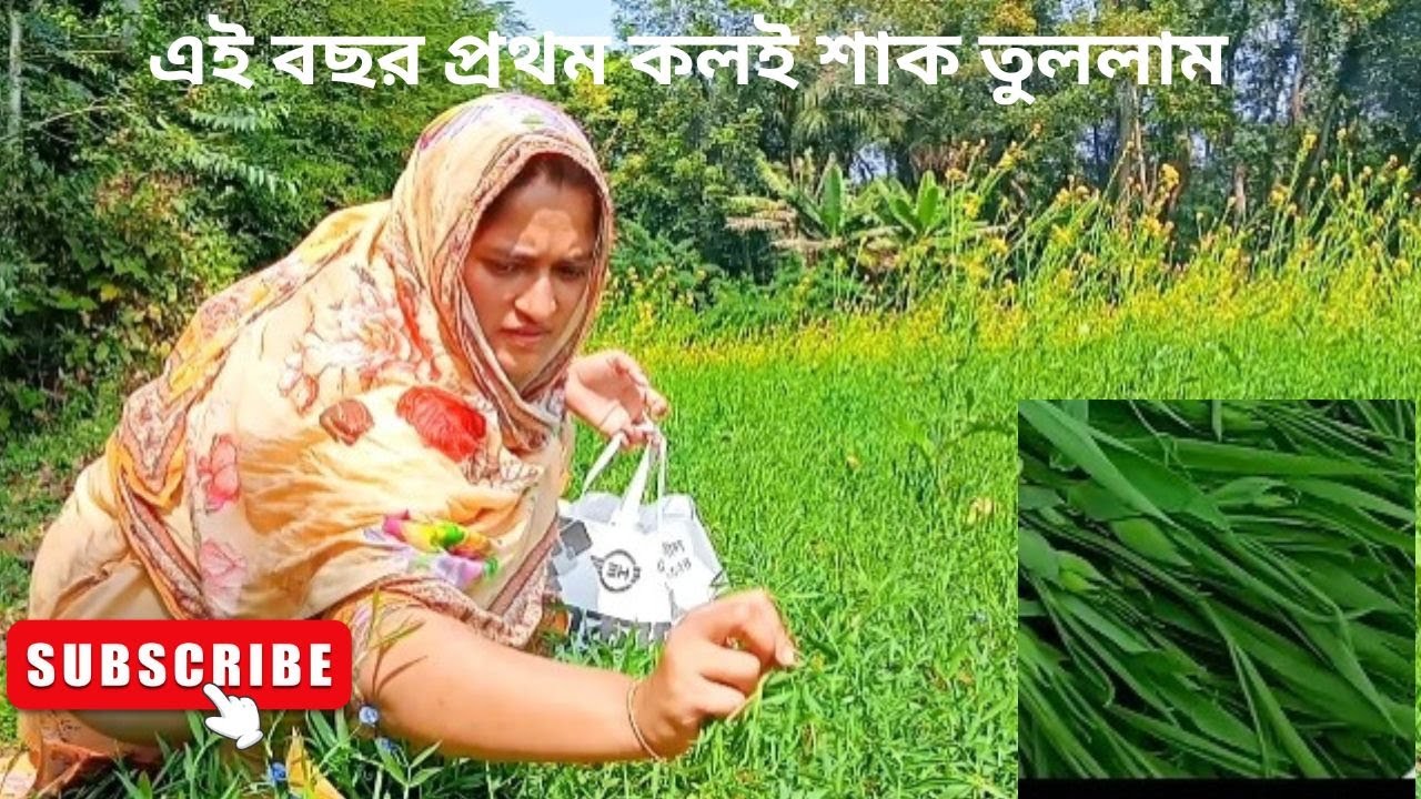 কলই শাক ।। koloi shak ।| Bangladesh koloi shak - YouTube