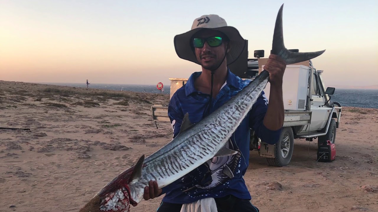 STEEP POINT FISHING - BAG OUT BOYS- RECORD CATCH ?? 58 SPANISH MACKEREL ...