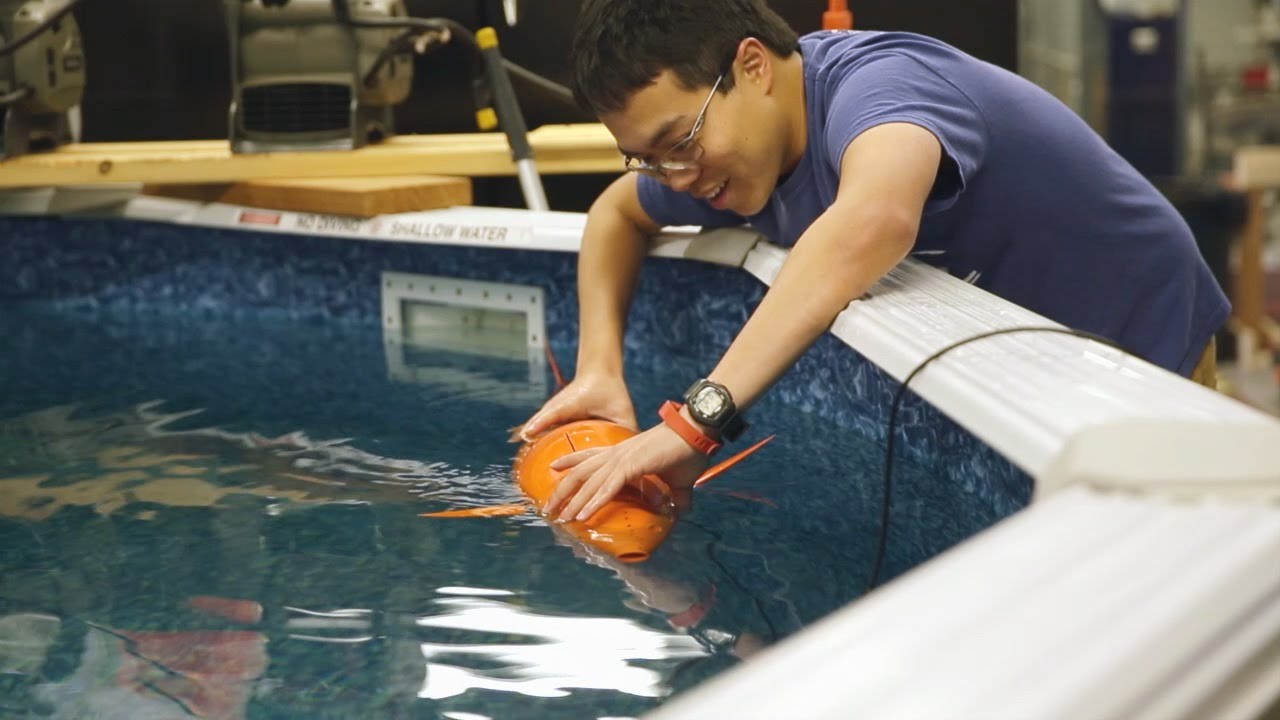 Olin Admission Video - YouTube