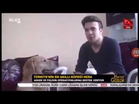 Ülke TV Hera’nın Yetenekleri Şaşırtıyor Haberi