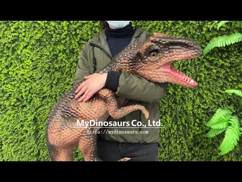 My Dinosaurs | Allosaurus Dinosaur Puppet - YouTube