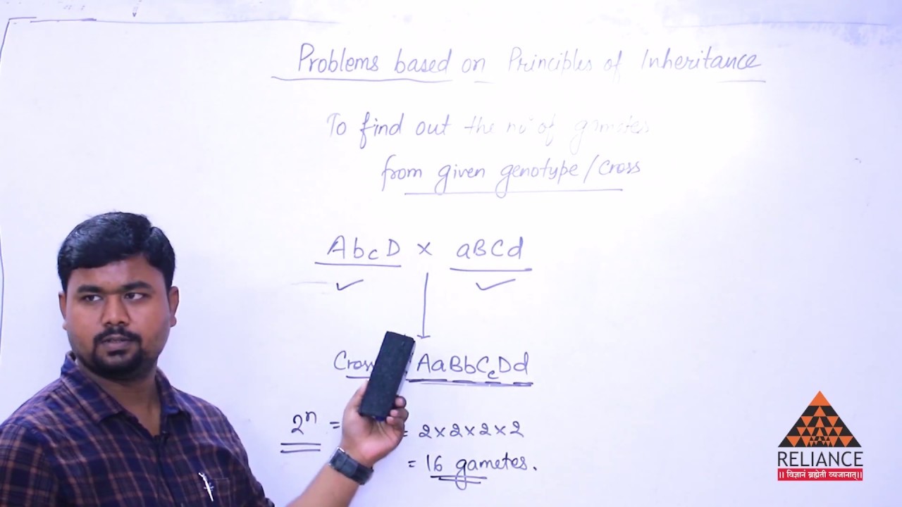 Teaching Methodology at Reliance Latur Pattern | NEET Biology ...