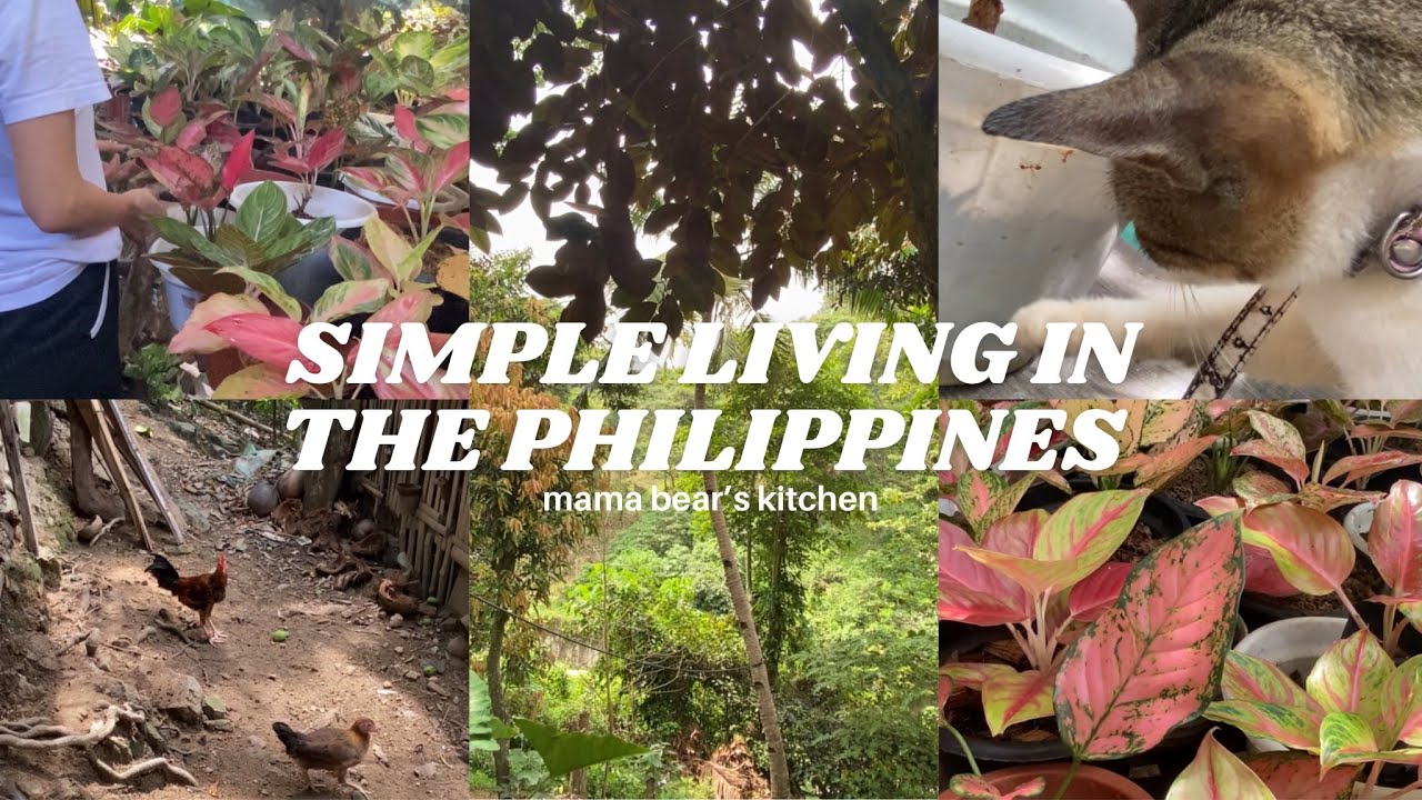 [MINI VLOG] Simple Living In The Philippines | Mama Bear’s Kitchen ...