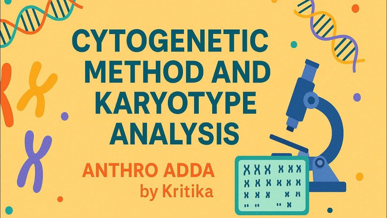 Cytogenetic method and Karyotype analysis | unit 9.1 | Human Genetics | Anthropology - YouTube