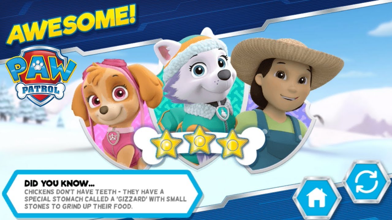 Paw patrol - All star pups: Food Drop! 🐶 - YouTube