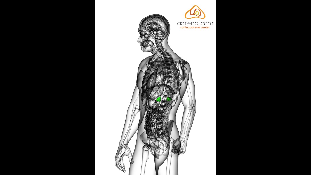 Top Adrenal Cancer and Tumor Surgeon Dr Carling Opens Surgery Center in ...