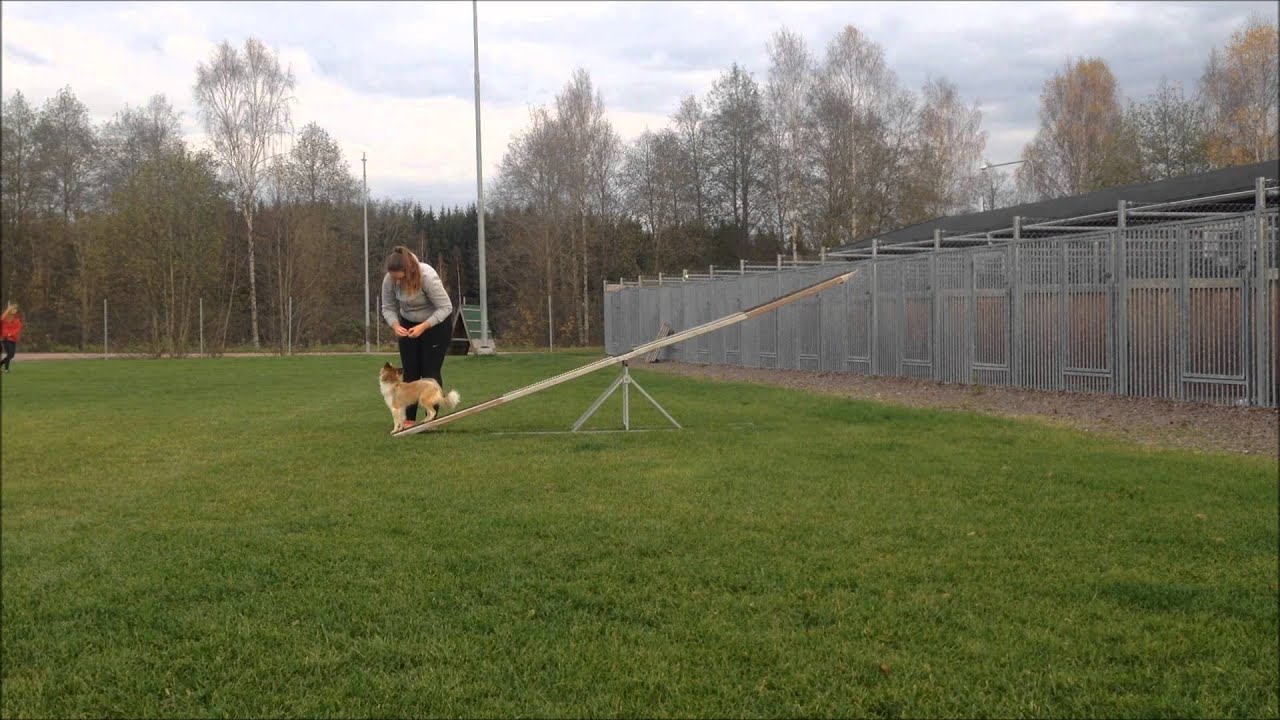Agility Work in progress part 2 - YouTube