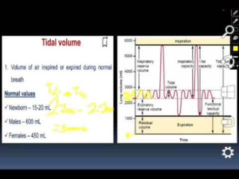 Respiratory Physiology | Spirometry (Part 2) - YouTube