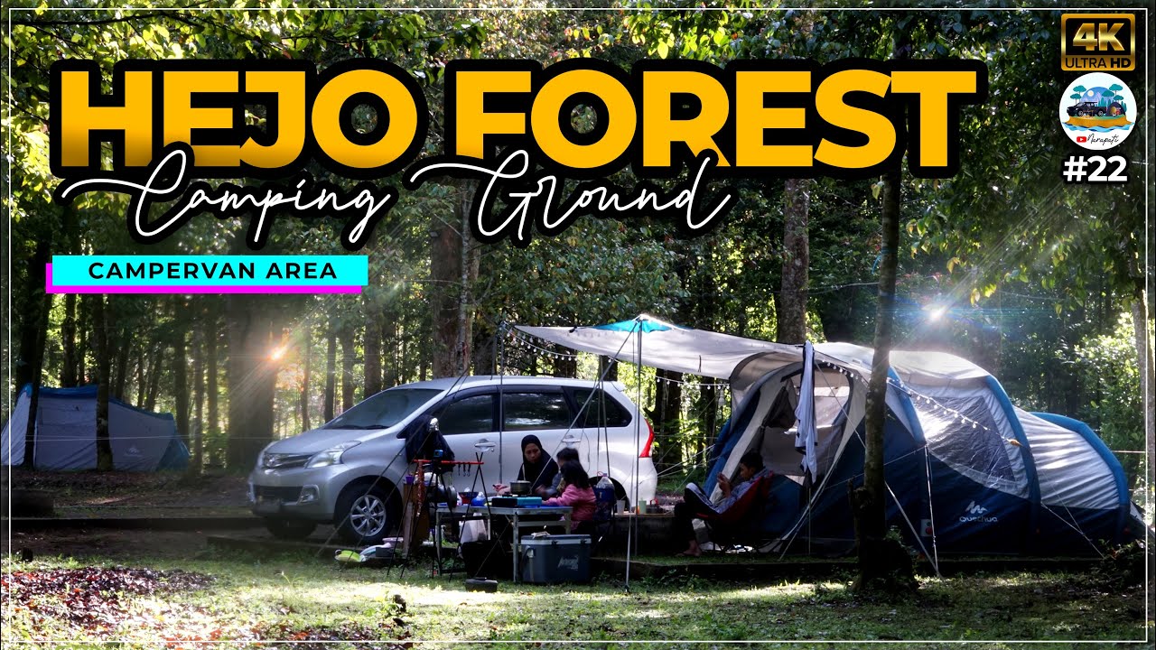Hejo Forest Ciwidey: A Review Of The Camping Site In Bandung With A Hot ...