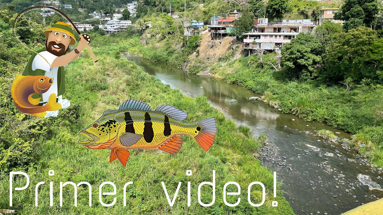 Primer video! Pesca en río de Comerio! - YouTube