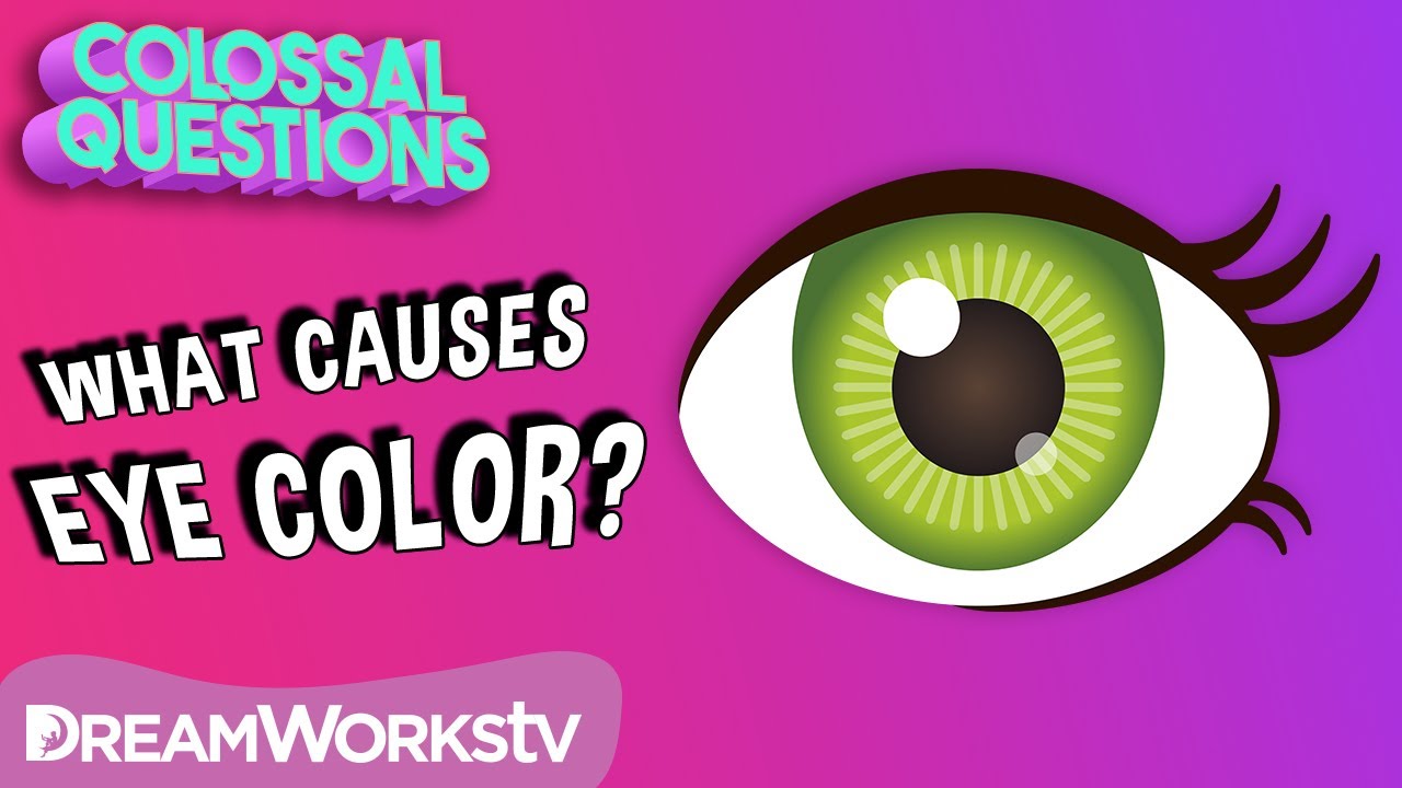 Why Are There Different Eye Colors? | COLOSSAL QUESTIONS - YouTube