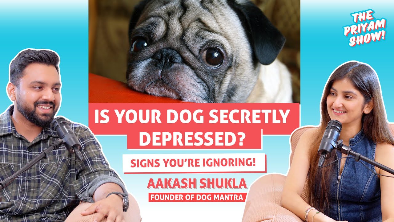 Is Your Dog Anxious or Depressed? Expert Aakash Shukla Explains | The ...