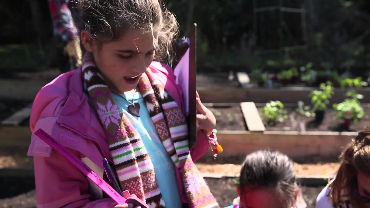 Sea Gate Elementary garden - YouTube
