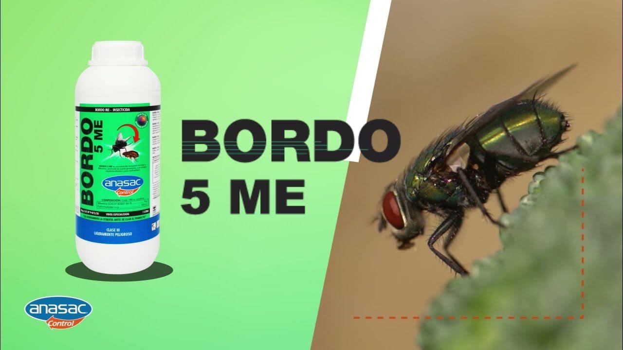 Bordo 5 ME - YouTube