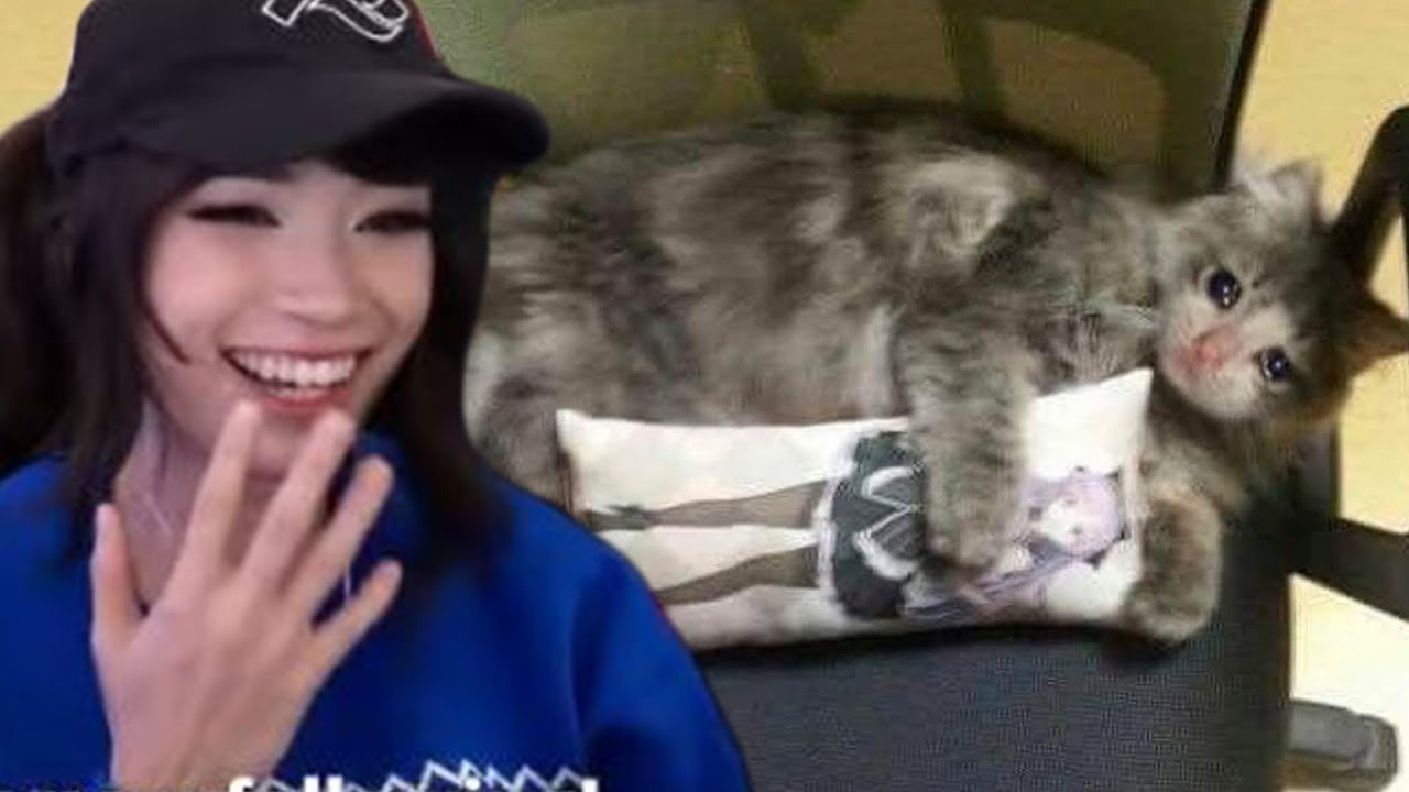 Emiru Reacts to UNUSUAL MEMES COMPILATION V178 - YouTube