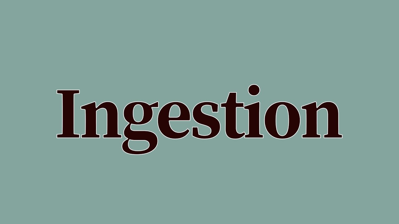 Ingestion Meaning and Definition - YouTube