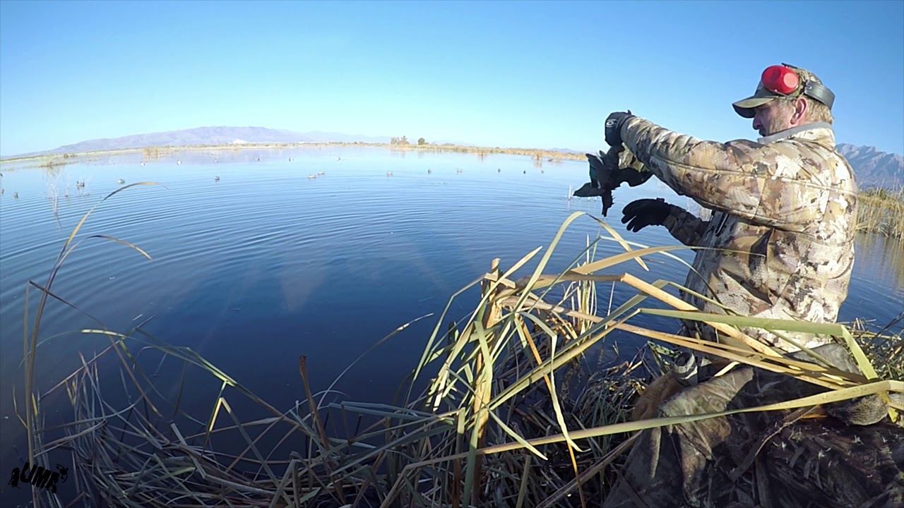 Taking the Youngsters Out | Utah Duck Hunt - YouTube