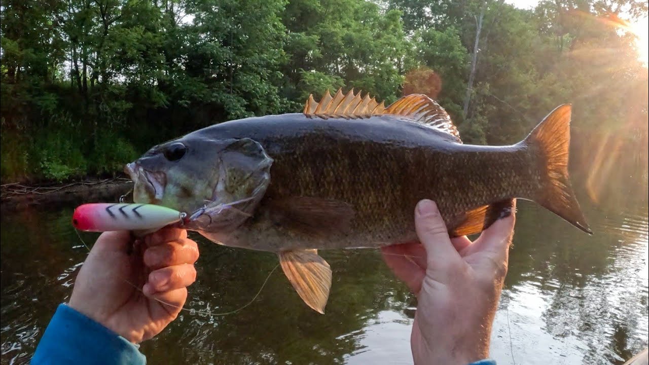 River Smallie Fishing | Topwater Kayak Fishing - YouTube