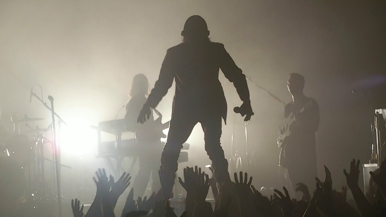 Cage The Elephant - Sabertooth Tiger (Live in Hamburg, 2020) - YouTube