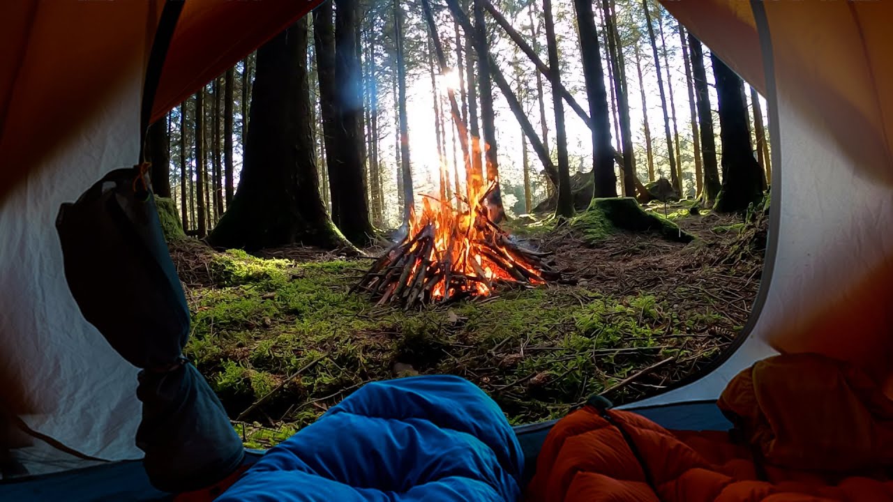 Camping in The Forest | The Sound of Camping Fires Near The Relaxing ...