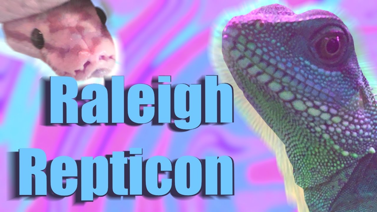 Raleigh Repticon | August 2020 | REPTILE EXPO - YouTube