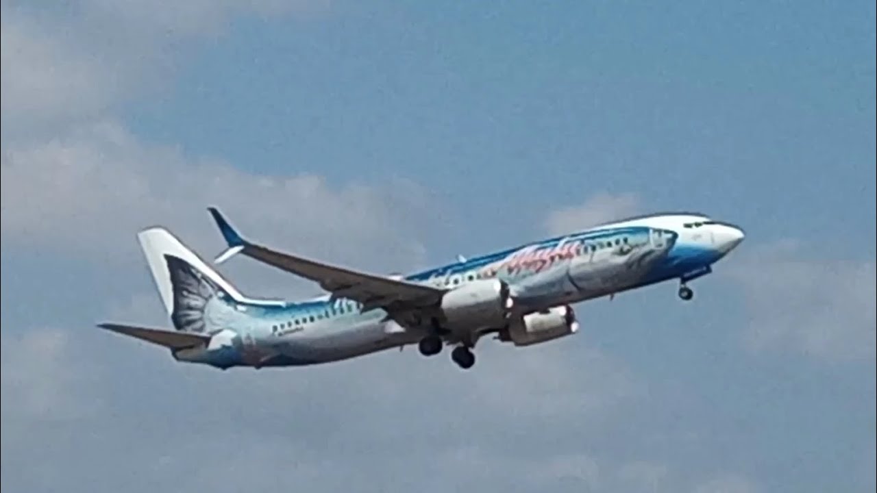 Alaska Airlines B738 (Salmon Thirty Salmon Livery) Departure to LAX ...
