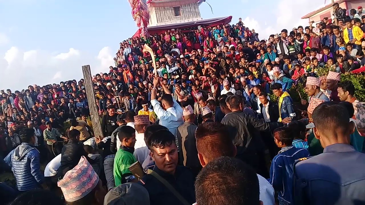 Dhakari Bachkot(Achham) ko Dashain ko Jatra ma Ranga Bali didai - YouTube