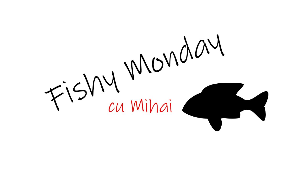 Fishy Monday - YouTube