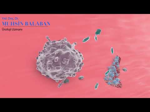 P Shot tedavisi nedir? Tedavi mekanizması nasıldır? | Yrd. Doç. Dr. Muhsin Balaban