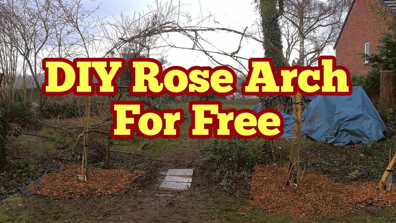 DIY Rose Arch For Free / Garden Arbor Arch/ Rustic/ Wood chip Mulch ...