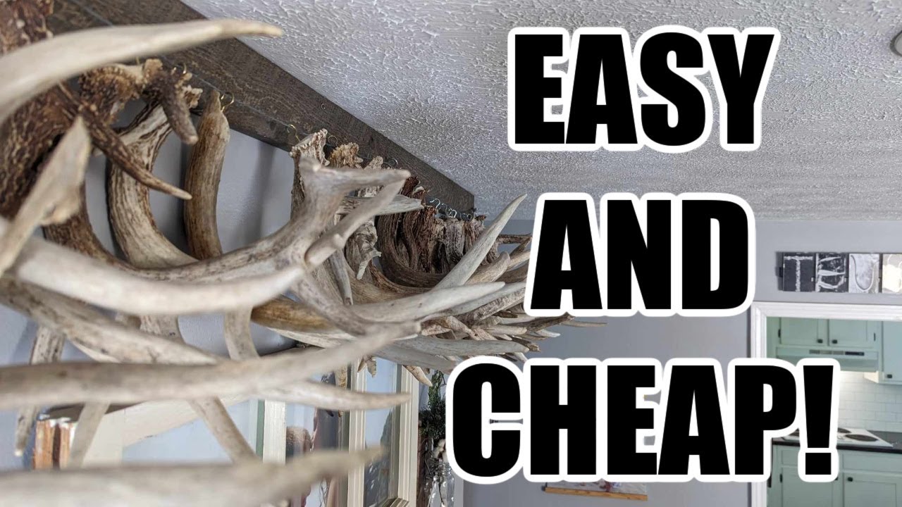 DIY Shed Antler Display: Quick & Affordable - YouTube