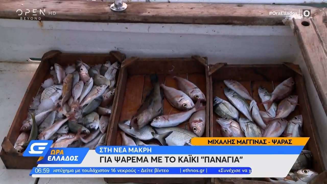 Στη Νέα Μάκρη για ψάρεμα με το καΐκι «Παναγιά» | Ώρα Ελλάδος 21/08/2022 ...