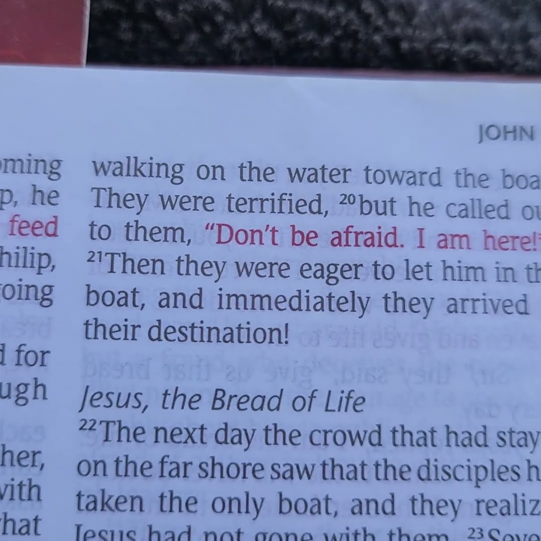 John 6 16 21 NLT bibleverse scriptureoftheday truth wisdom YouTube John 6 16 21 NLT bibleverse scriptureoftheday truth wisdom YouTube