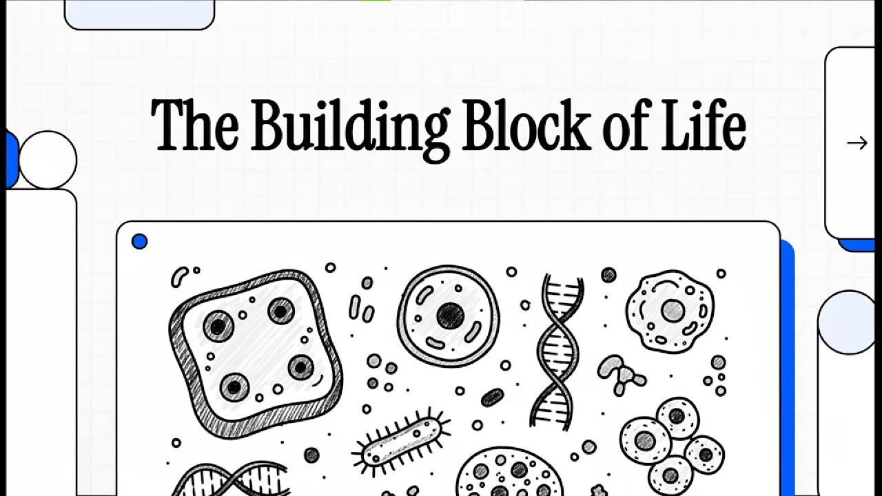 The Building Block of Life - YouTube