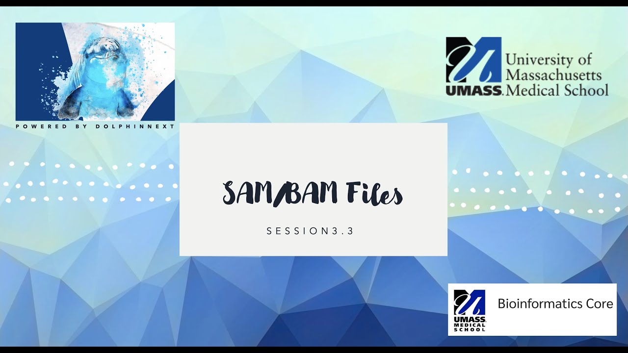 SAM/BAM File Formats Session 3.3 - YouTube