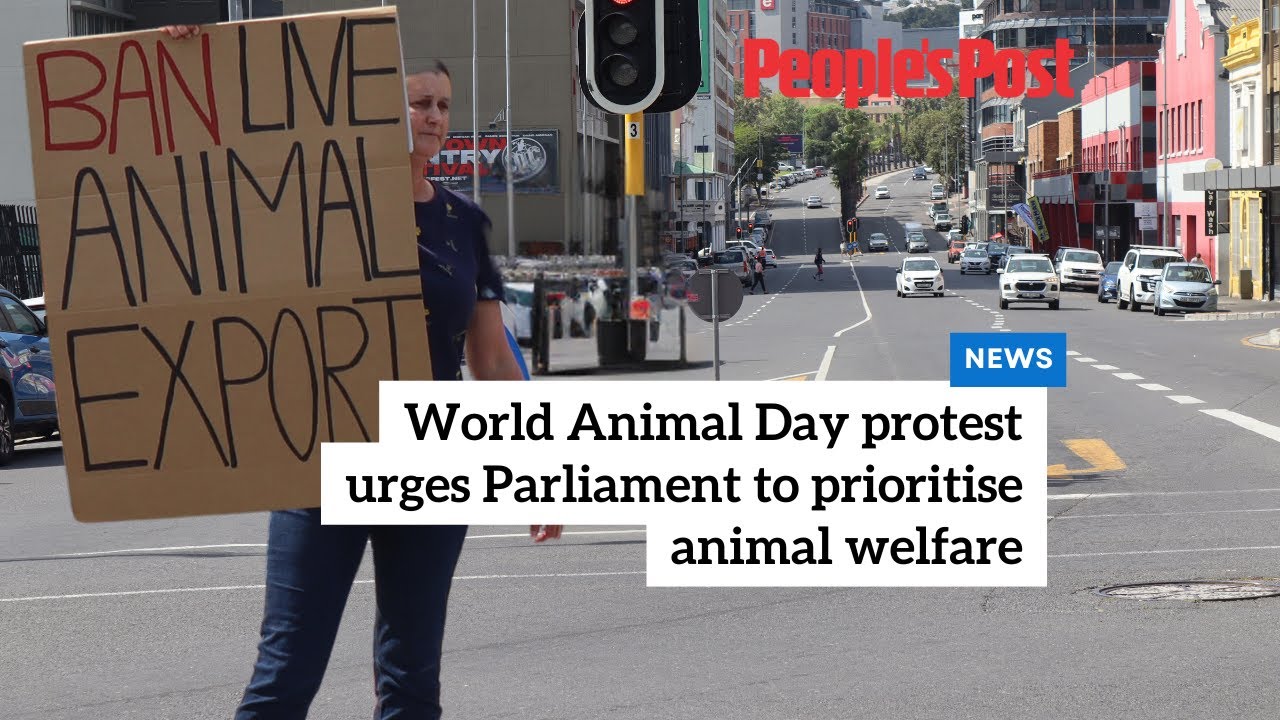 FOUR PAWS holds World Animal Day gathering outside Parliament, launches ...
