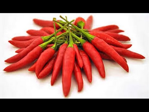 Acı biber berkay ve ben :D